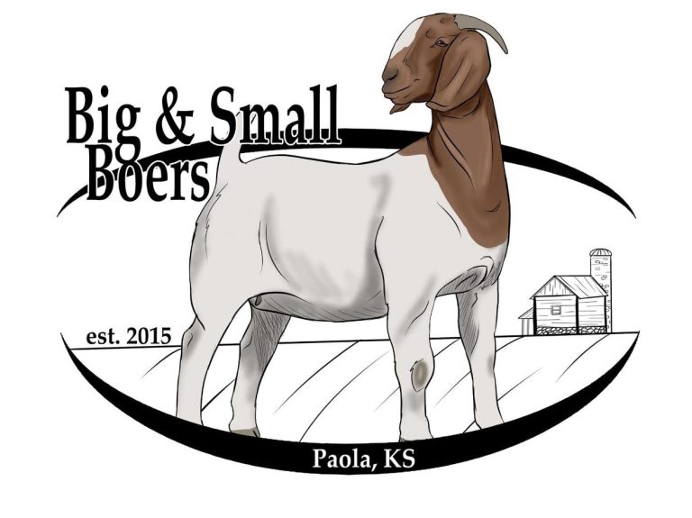 Goat Color Explained – Midwest Buck Sale